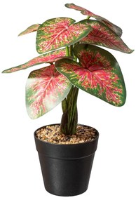 Gasper Umělá rostlina Kaládium, červenozelená, 30 cm
