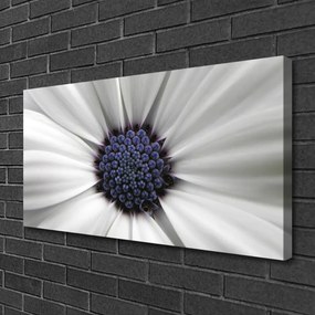 Obraz na plátně Květiny Rostlina 120x60 cm