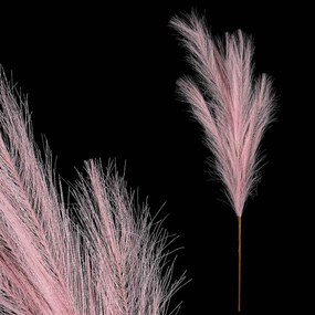 Pampas tráva, růžová barva KUM3434 PINK