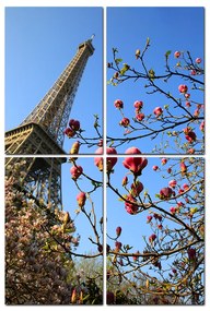 Obraz na plátně - Eiffelova věž v jarním období - obdélník 734D (120x80 cm)