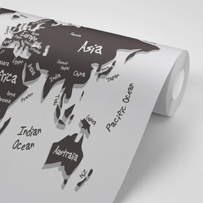 Samolepící tapeta jedinečná černobílá mapa