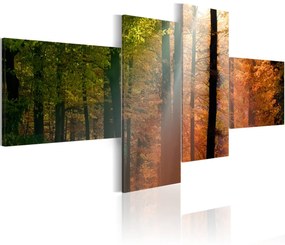 Obraz - Pohled na podzimní les