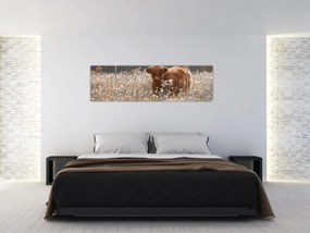 Obraz - Skotská kráva v kvítí (170x50 cm)
