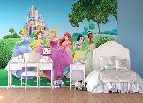 Vliesová fototapeta na Louce Před Zámkem, Disney Princezny | 360 x 270 cm | DFTDNXXL5003