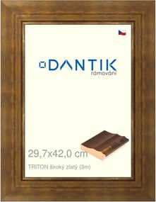DANTIK rámeček 29,7x42 | TRITON široký zlatý (Plexi Čiré)