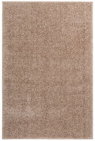 Hans Home | Kusový koberec Emilia 250 taupe - 120x170