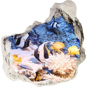 Wallmuralia Díra 3D fototapeta nálepka Korálový útes 75x75 cm