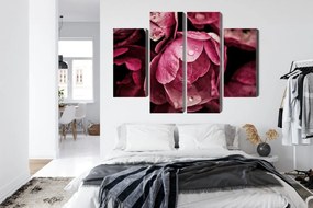 Vícedílný obraz Pivoňka Květiny Zblízka 3D Nedostatek Nedostatek Přírodní plátno 80x60