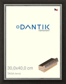 DANTIK rámeček 30x40 | TAIGA černá (Plexi Čiré)