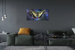 Obrazy na plátně Motýl na květině 125x50 cm