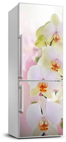 Wallmuralia Nálepka fototapeta lednička Bílá orchidej 60x180 cm