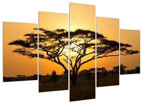 Obraz stromu v savaně (150x105 cm)