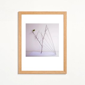 Michaela Pospíšilová Králová | Reconstructed Diary 2 Rám: Bílý, Velikost: 30 x 20 cm