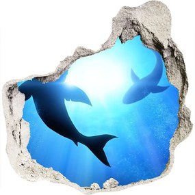 Wallmuralia Díra 3D fototapeta nálepka Dva žraloci 75x75 cm