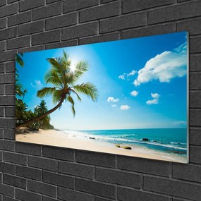 Obraz na skle Palma Strom Pláž Krajina 140x70 cm
