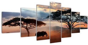 Obraz - Národní park Serengeti, Tanzánie, Afrika (210x100 cm)