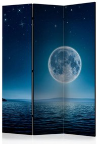 Paraván Moonlit night Dekorhome 135x172 cm (3-dílný)