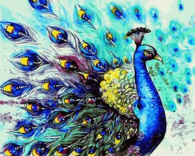 Malování podle čísel s rámem "Páv 2" 50x40cm