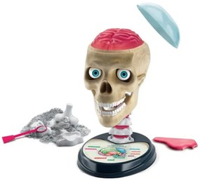 Vědecká zábava LAB Bláznivá anatomie 50697