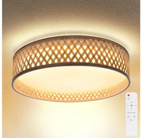 Brilagi - LED Stmívatelné stropní svítidlo CAMILA LED/48W/230V 3000-6500K + DO