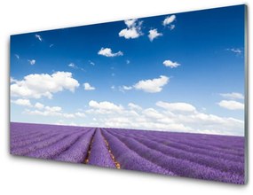 Obraz na skle Louka Květiny Příroda Rostlina 100x50 cm
