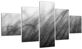 Obraz - Tráva ve větru (125x70 cm)