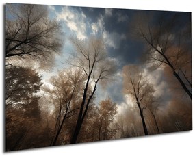 Tinno Obraz podzimní podvečer Rozměr: 120 x 80 cm