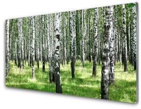 Obraz na skle Les Tráva Rostlina Příroda 125x50 cm