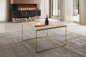 ADRK Furniture Konferenční stolek Roni CT-RON-G-S