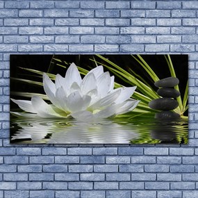 Plexisklo-obraz Květiny Kameny Zen Voda 120x60 cm