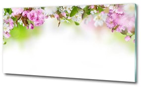 Wallmuralia Foto obraz sklo tvrzené Jarní květiny 100x50
