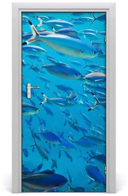 Samolepící fototapeta na dveře Korálové ryby 85x205 cm