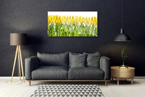 Obraz na skle Tulipány Květiny Příroda 120x60 cm