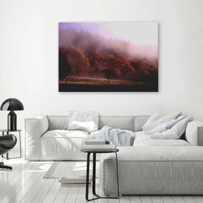 Gario Obraz na plátně Stromy v mlze Rozměry: 60 x 40 cm