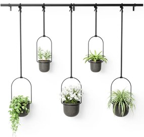 Plastové obaly na květináče v sadě 5 ks na bylinky/závěsné ø 7,5 cm Triflora – Umbra
