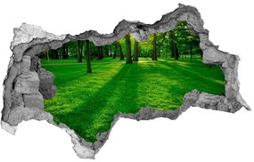 Wallmuralia Díra 3D ve zdi nálepka Tráva v parku 95x73 cm