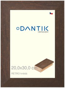 DANTIK rámeček 20x30 | RETRO hnědá (Sklo Čiré)