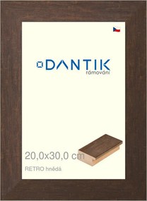 DANTIK rámeček 20x30 | RETRO hnědá (Sklo Čiré)
