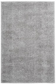 Obsession koberce Kusový koberec Emilia 250 silver ROZMĚR: 160x230