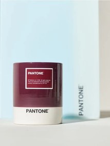 Sinsay - Svíčka Pantone - světle fialová