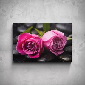 Obraz - Růže na kamenech - PopyDesign