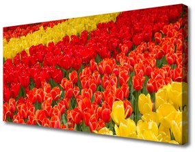 Obraz na plátně Tulipány Květiny 140x70 cm