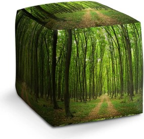 Sablio Taburet Cube Cesta v lese - 60x60x60 cm