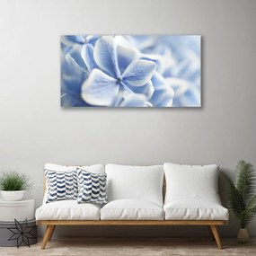 Obraz na plátně Květiny Plátky Příroda 100x50 cm