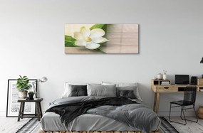akrylový obraz bílá magnólie 120x60 cm