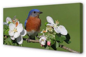 Obrazy na plátně Květiny barevné papoušek 100x50 cm