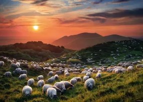 HEYE Puzzle Ovce a sopky / 1000 dílků / 70 × 50 cm