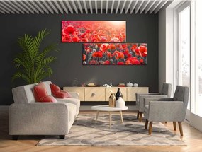 Malvis ® Dvoudílný obraz vlčí mák Velikost (šířka x výška): 180x90 cm