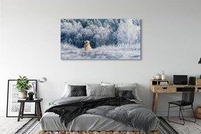 akrylový obraz Zimě salašnický pes 140x70 cm