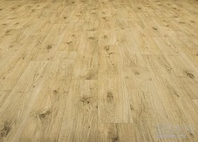 Breno PVC MAXIMA PLUS Ohrid Oak S53 (591-15) – světlé dřevo, šíře 400 cm